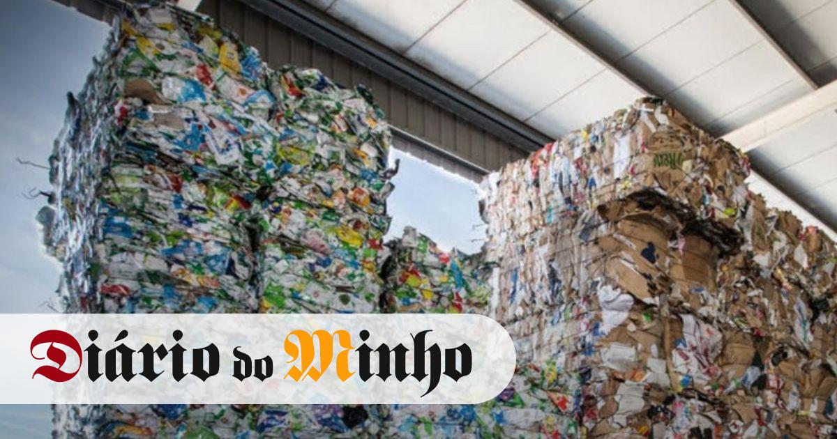 Aumento na reciclagem: Braval recolheu 18.907 toneladas de resíduos em ...